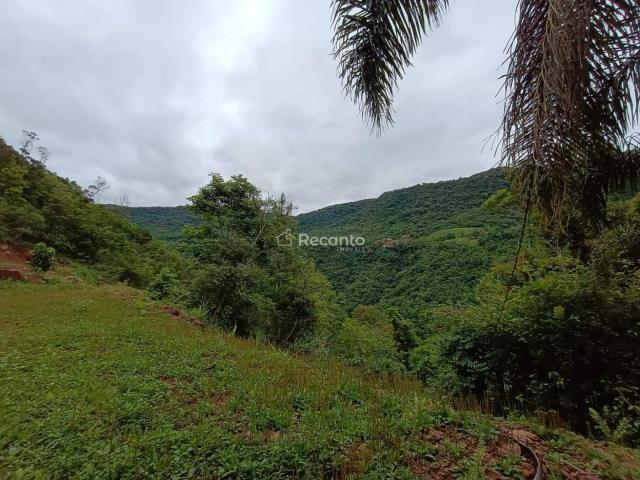Terreno em, / de 5000m² à venda por R$ 338.000,00