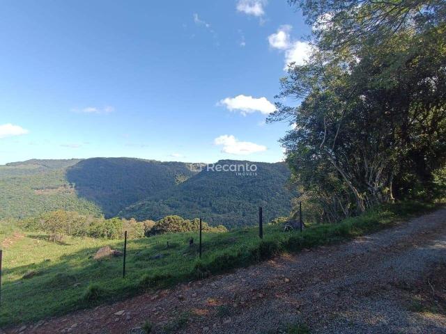 Terreno em, / de 5000m² à venda por R$ 989.000,00