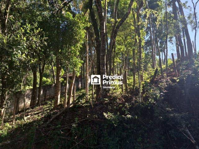 Terreno em Debossan, Nova Friburgo/RJ de 0m² à venda por R$ 189.900,00
