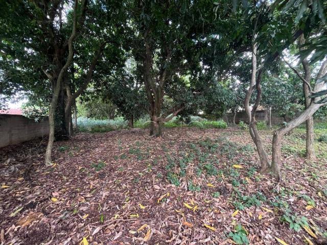Terreno em Dois Córregos, Piracicaba/SP de 0m² à venda por R$ 419.000,00