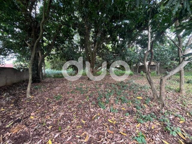 Terreno em Dois Córregos, Piracicaba/SP de 2000m² à venda por R$ 419.900,00
