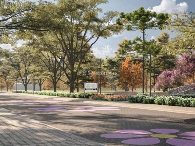Terreno em Eugênio Ferreira, Canela/RS de 302m² à venda por R$ 399.459,00