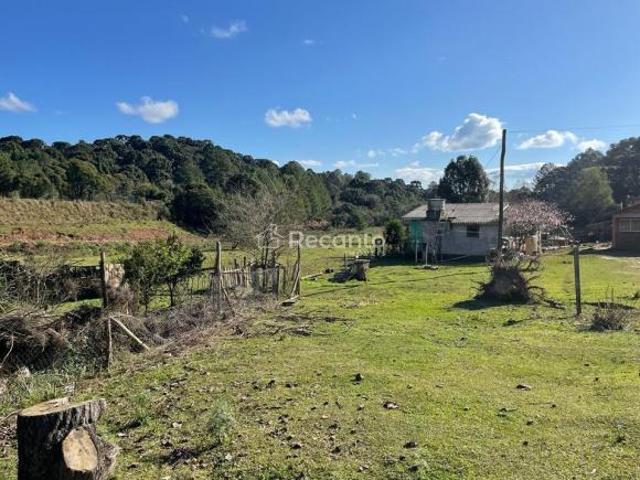Terreno em Eletra, São Francisco de Paula/RS de 5000m² à venda por R$ 900.000,00