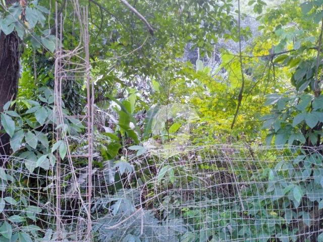 Terreno em Engenho do Mato, Niterói/RJ de 0m² à venda por R$ 299.900,00