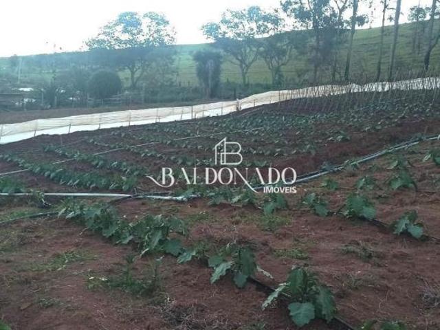 TERRENO EM ESTIVA MG À VENDA 2000 METROS PRÓX A CACHOEIRA CAMINHO DA FÉ
