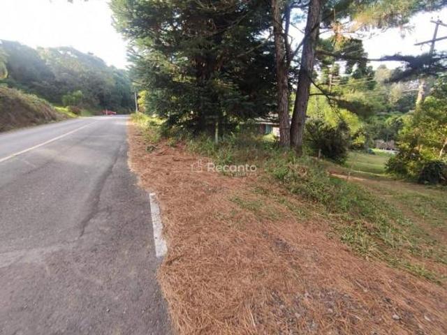 Terreno em Estrada Da Serra Grande, Tres Coroas/RS de 5000m² à venda por R$ 945.000,00