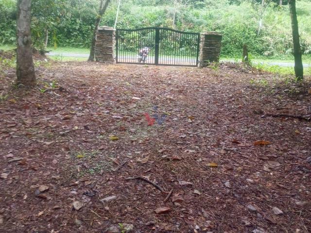 Terreno em Estrada Dagraciosa, Morretes/PR de 38000m² à venda por R$ 799.900,00