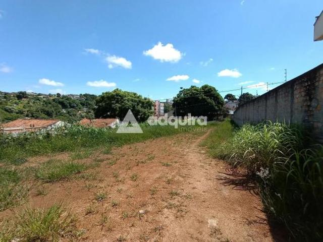 Terreno em Estrela, Ponta Grossa/PR de 10m² à venda por R$ 250.000,00