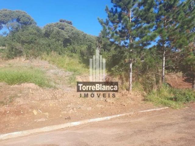Terreno em Estrela, Ponta Grossa/PR de 10m² à venda por R$ 250.000,00