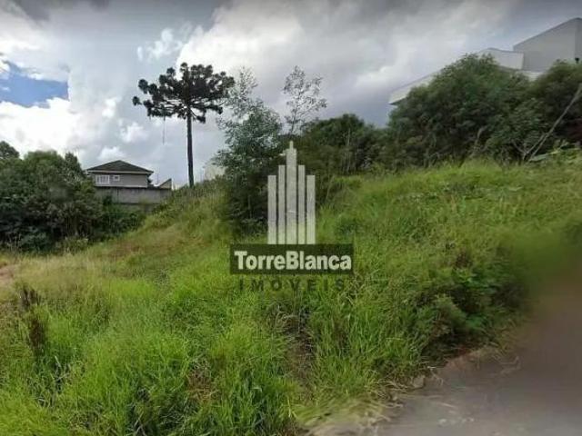 Terreno em Estrela, Ponta Grossa/PR de 10m² à venda por R$ 250.000,00