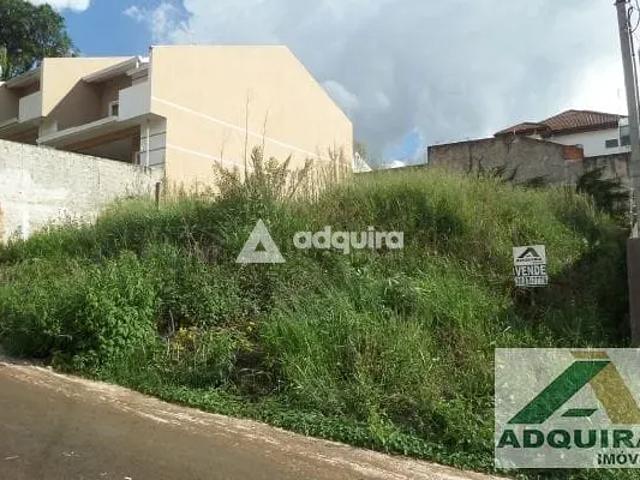 Terreno em Estrela, Ponta Grossa/PR de 427m² à venda por R$ 269.000,00