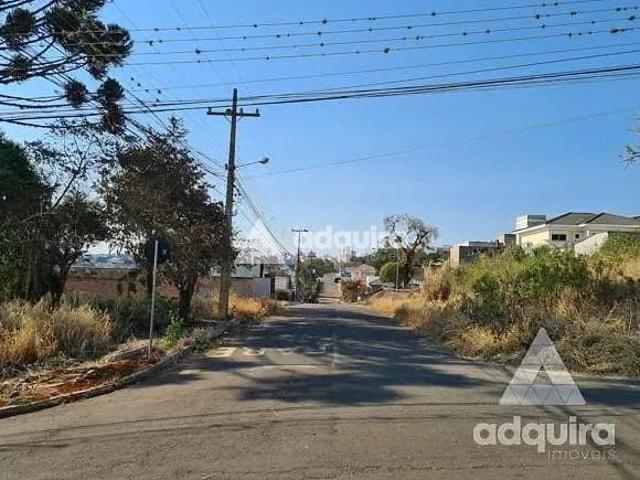 Terreno em Estrela, Ponta Grossa/PR de 10m² à venda por R$ 350.000,00