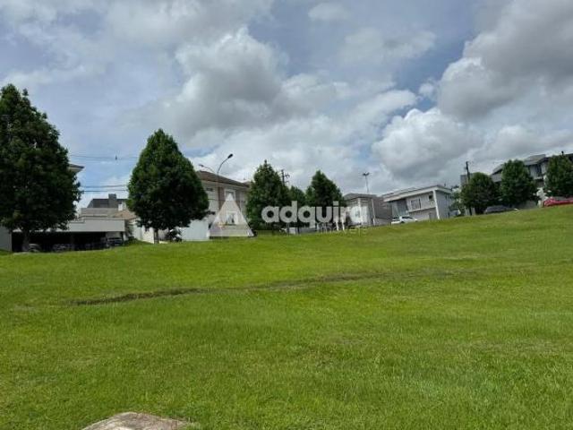 Terreno em Estrela, Ponta Grossa/PR de 10m² à venda por R$ 700.000,00