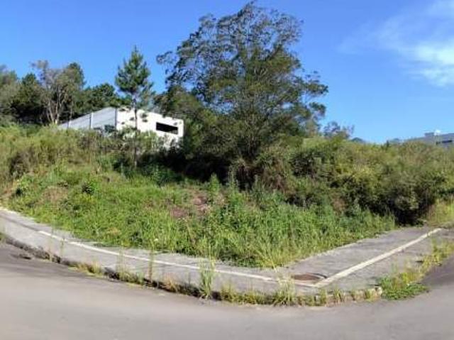 Terreno em Fátima, Bento Gonçalves/RS de 240m² à venda por R$ 189.900,00