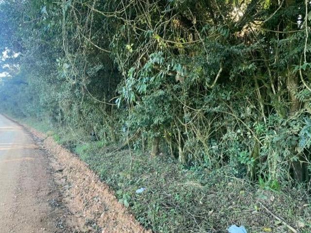 Terreno em Faxina, São José dos Pinhais/PR de 10m² à venda por R$ 352.000,00