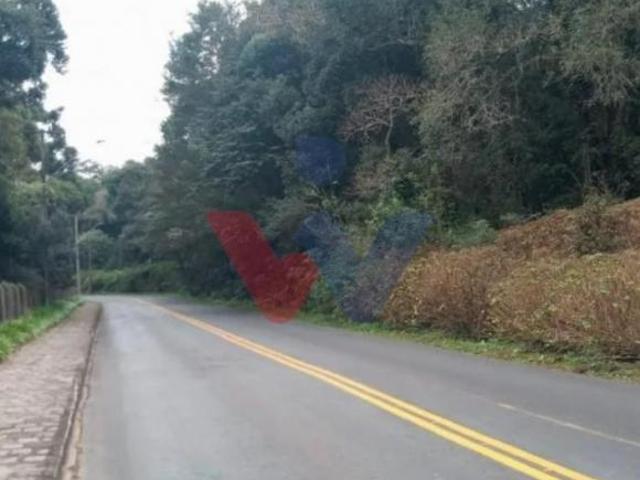Terreno em Ferraria, Campo Largo/PR de 66000m² à venda por R$ 4.900.000,00