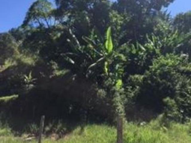 Terreno em Francisco Morato