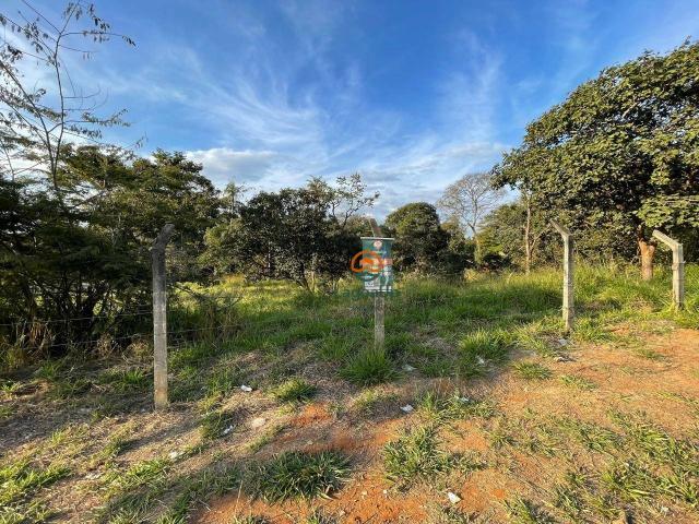 Terreno em Francisco Pereira, Lagoa Santa/MG de 0m² à venda por R$ 3.499.000,00
