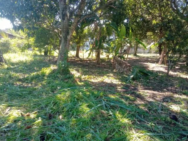 Terreno em Guaratiba