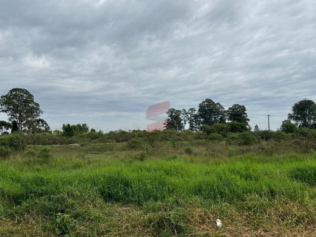 Terreno em Guarituba, Piraquara/PR de 1250m² à venda por R$ 399.900,00