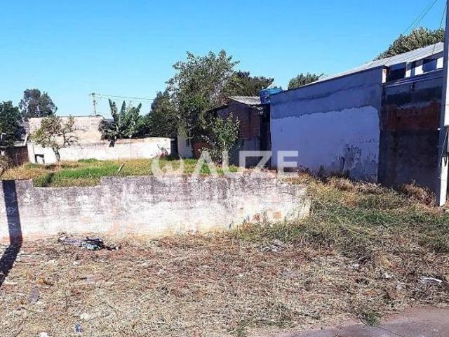 Terreno em Guatupê, São José dos Pinhais/PR de 420m² à venda por R$ 279.000,00