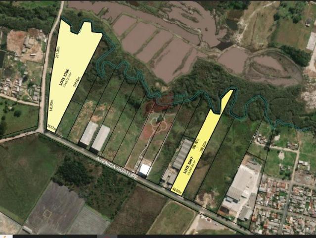 Terreno em Guatupê, São José dos Pinhais/PR de 14000m² à venda por R$ 3.289.900,00