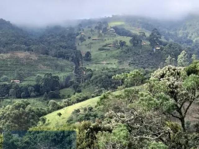 Terreno em Gonçalves MG à venda!