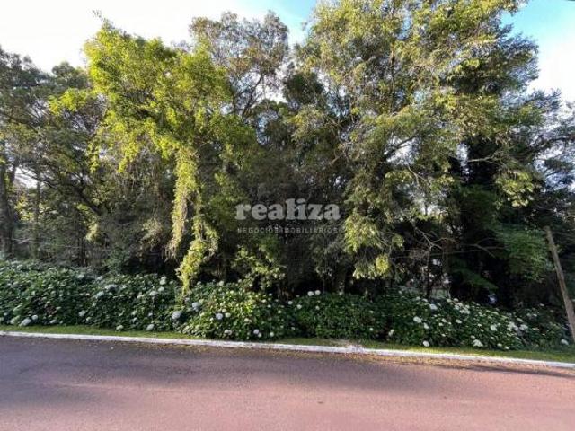 TERRENO EM GRAMADO