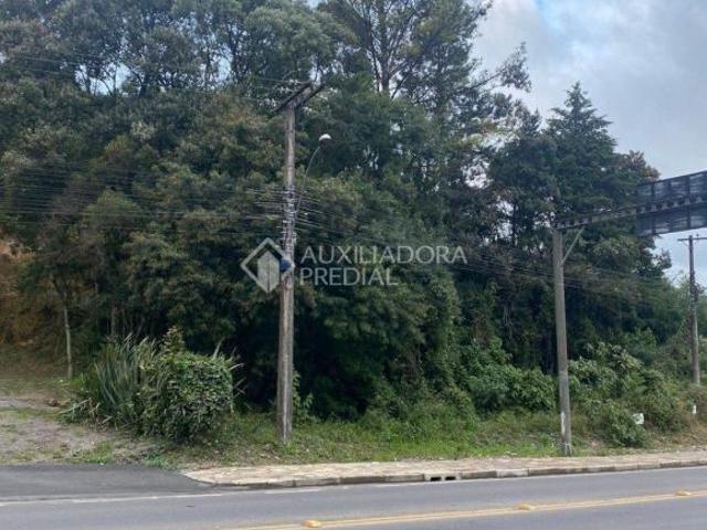 TERRENO EM GRAMADO
