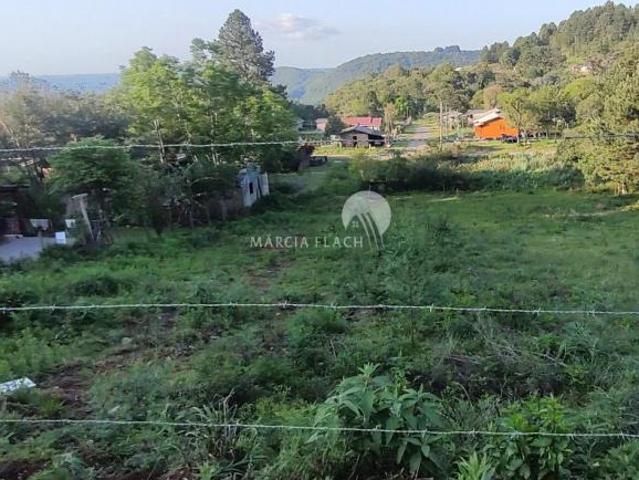 TERRENO EM GRAMADO