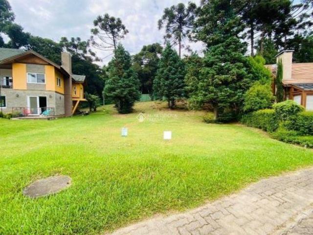 Terreno em Gramado