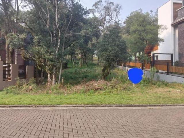 Terreno em Gramado