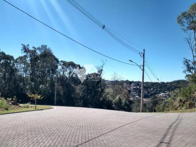 TERRENO EM GRAMADO