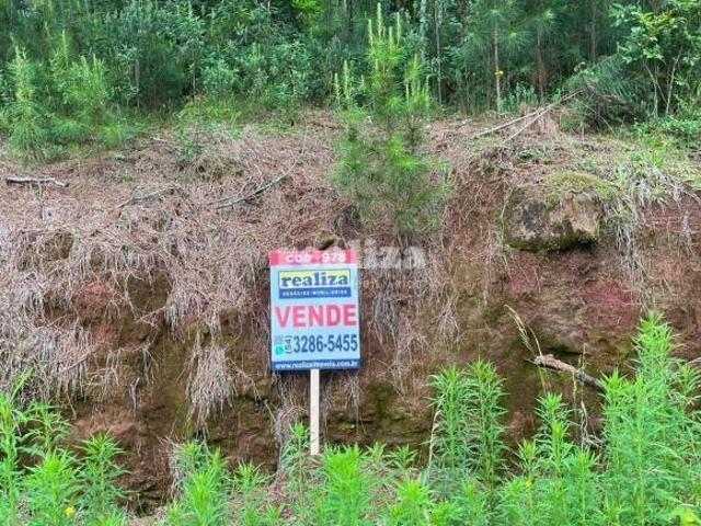 TERRENO EM GRAMADO
