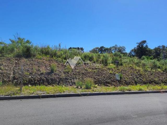 TERRENO EM GRAMADO