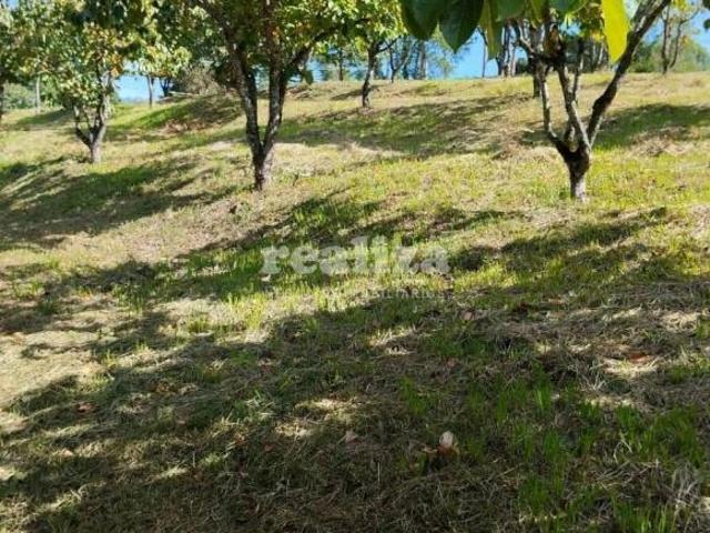 TERRENO EM GRAMADO