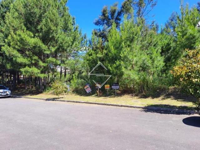 TERRENO EM GRAMADO
