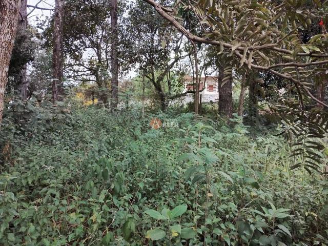 Terreno em Gramado, Cotia/SP de 586m² à venda por R$ 399.000,00