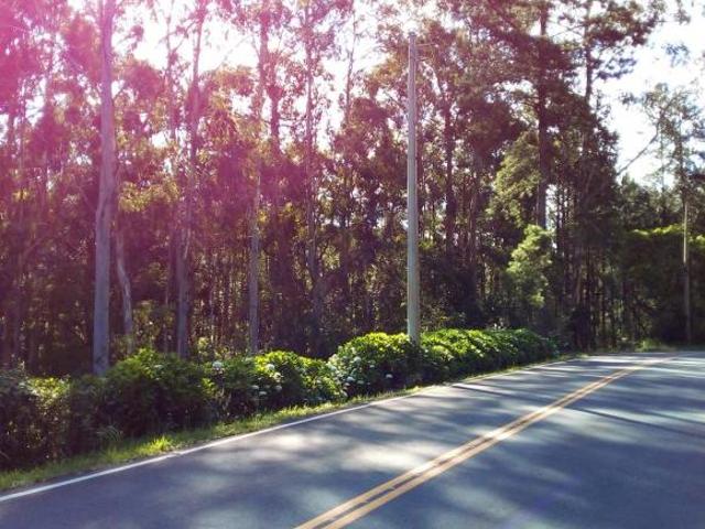 Terreno em Gramado com 8,91 hectares