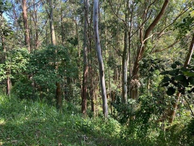 Terreno em Granja Viana, Cotia/SP de 0m² à venda por R$ 320.000,00