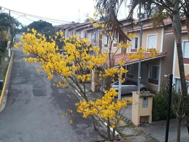 Terreno em Granja Viana, Cotia/SP de 70m² 2 quartos à venda por R$ 509.900,00