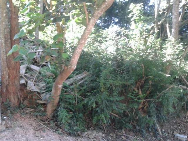 Terreno em Granja Viana II, Cotia/SP de 0m² à venda por R$ 320.000,00
