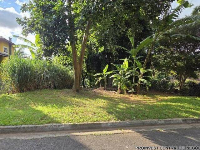 Terreno em Granja Viana II, Cotia/SP de 0m² à venda por R$ 550.000,00