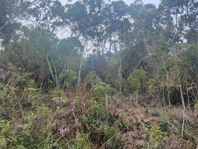 Terreno em Granja Mafra, Teresópolis/RJ de 1400m² à venda por R$ 139.000,00