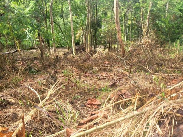 Terreno em Granja Mafra, Teresópolis/RJ de 600m² à venda por R$ 99.900,00