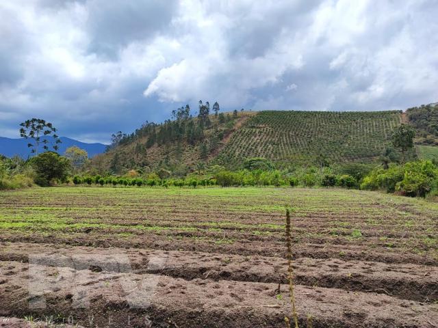 Terreno em Granja Mafra, Teresópolis/RJ de 7000m² à venda por R$ 454.900,00