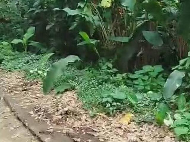 Terreno em Itamambuca, Ubatuba/SP de 500m² à venda por R$ 700.000,00