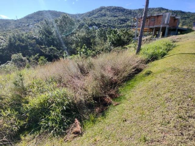 Terreno em Itacorubi, Florianópolis/SC de 0m² à venda por R$ 1.239.000,00