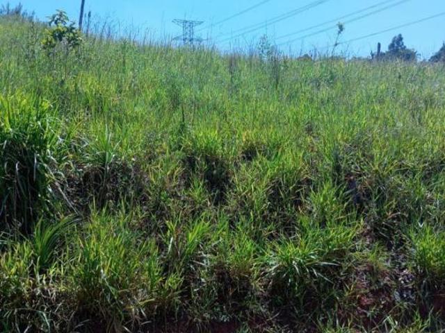 Terreno em Itapecerica da Serra com Matricula e IPTU