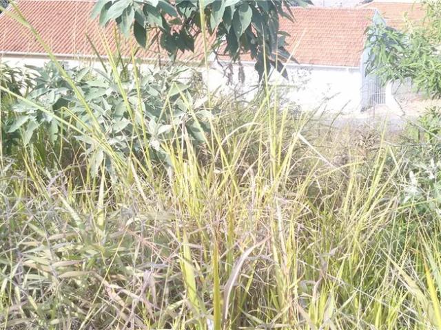 Terreno em Itatiba